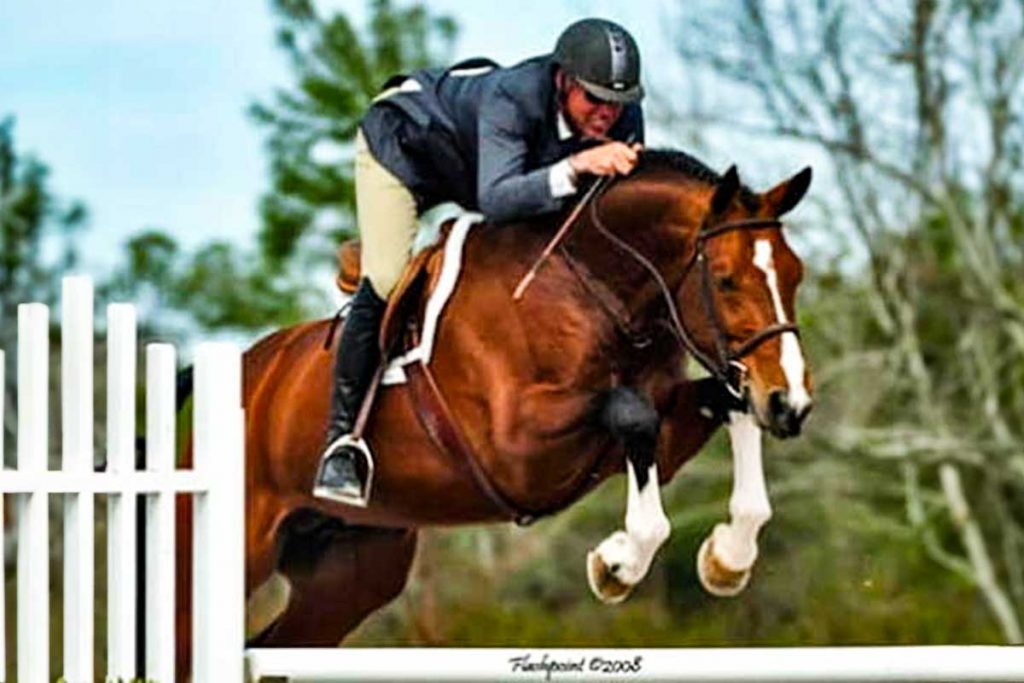 All breed stallion station - Oklahoma