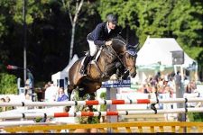 All breed stallion station - Oklahoma