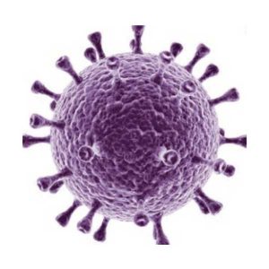 Equine Viral Arteritis (EVA) • Equine-Reproduction.com, LLC