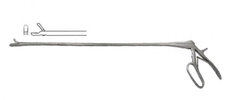 Endometrial Biopsy in the Mare • Equine-Reproduction.com, LLC