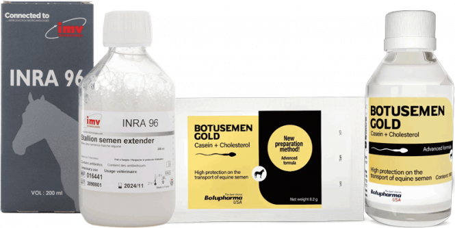 Processing Equine Semen: Essentials for Success • Equine-Reproduction ...